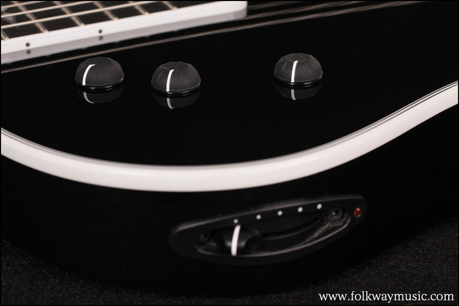 2011 Taylor T5 Custom | Folkway